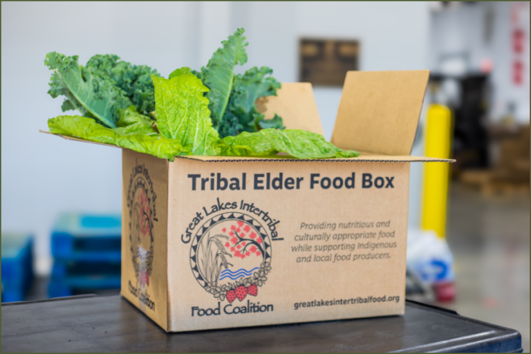 Tribal Elder Food Box - Feeding America Eastern Wisconsin